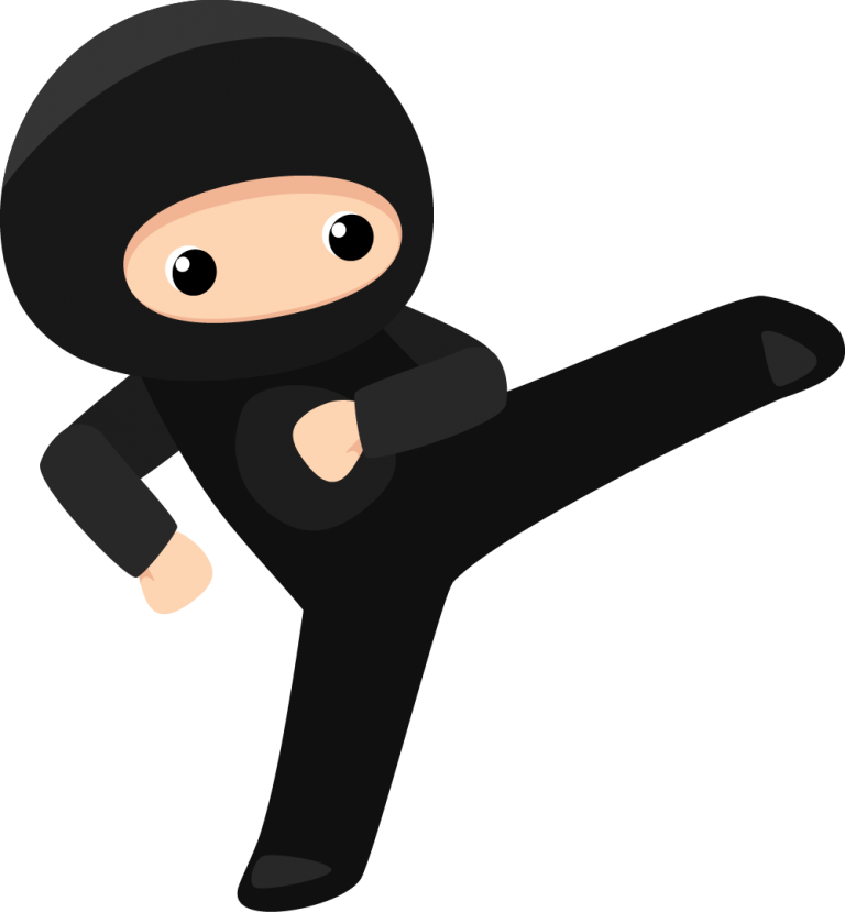 TY.ie Ninjas Programme - TY