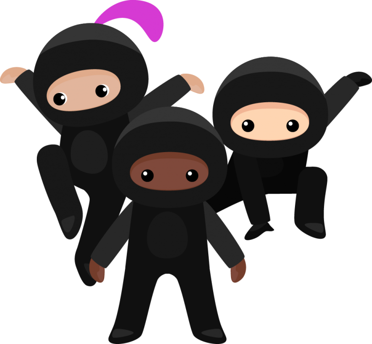 TY.ie Ninjas Programme - TY