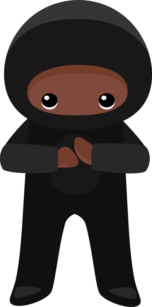 TY.ie Ninjas Programme - TY