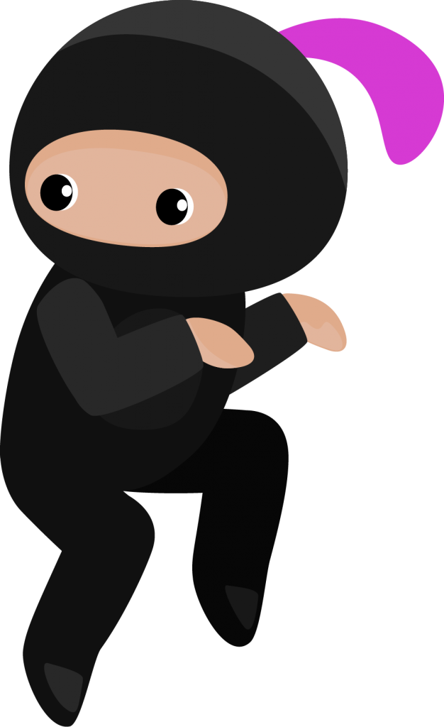 TY.ie Ninjas Programme - TY