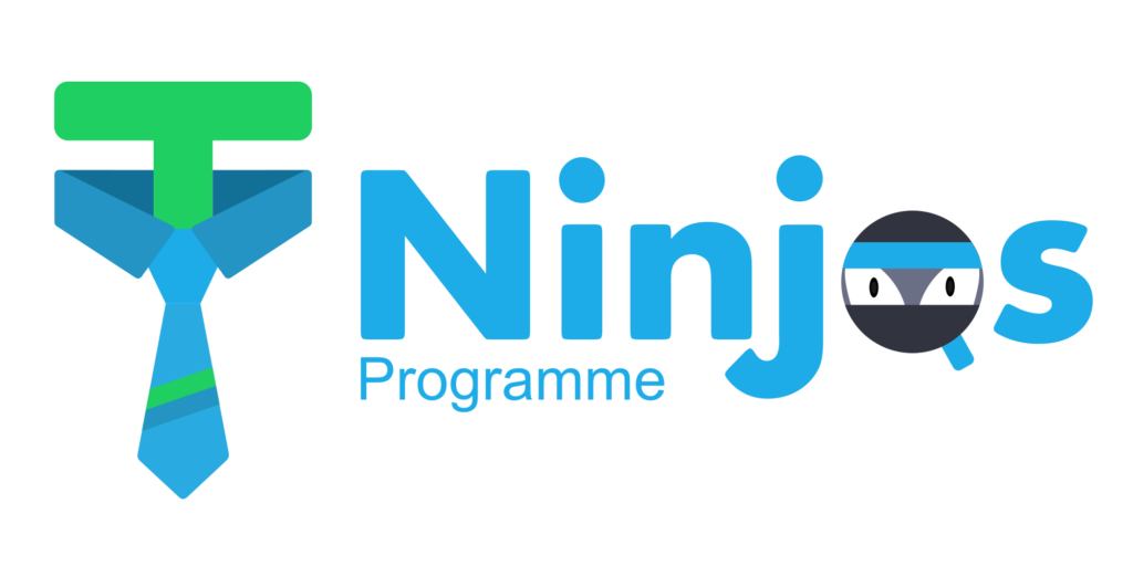 TY.ie Ninjas Programme - TY
